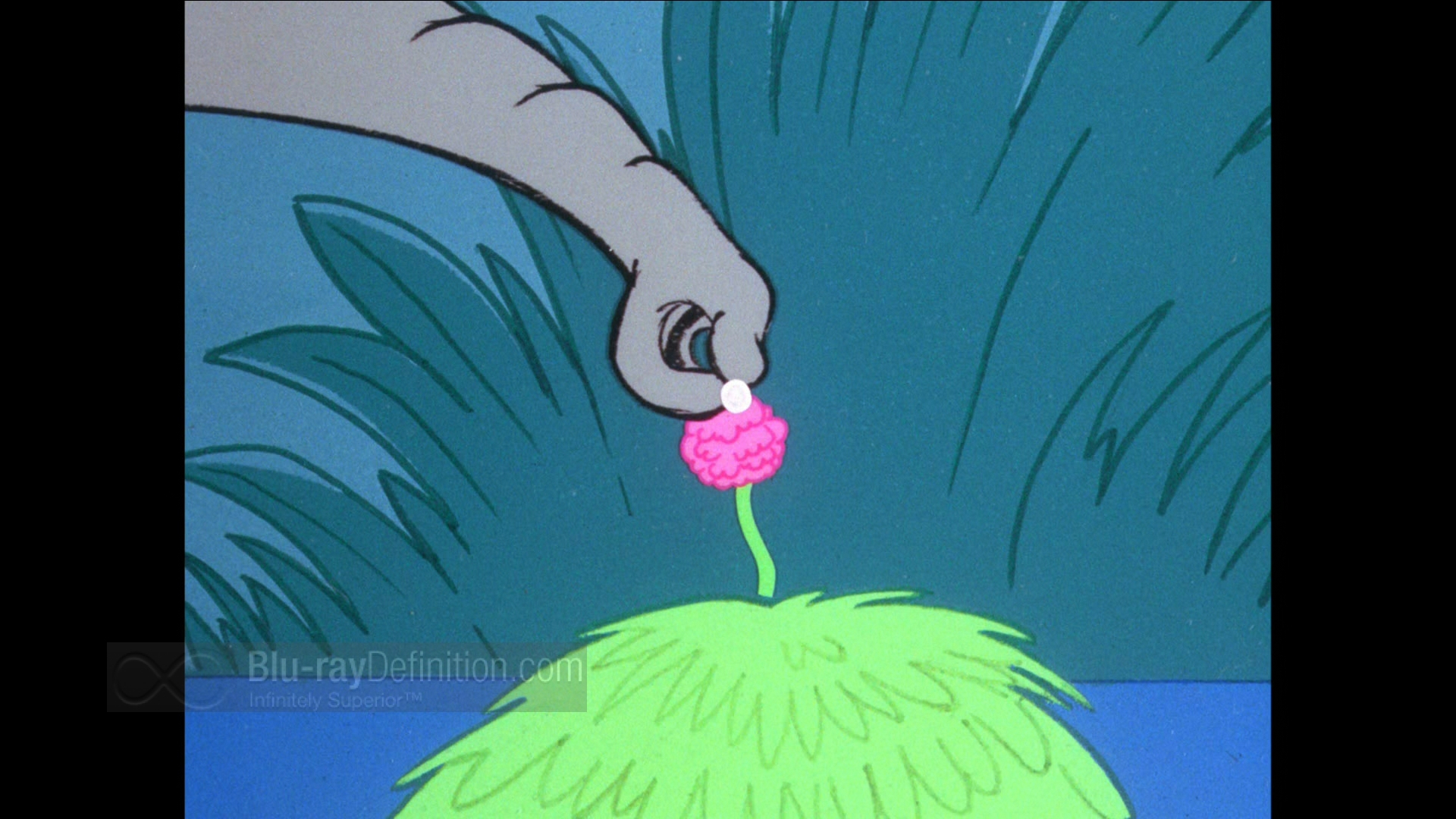 Dr. Seuss' Horton Hears a Who! (1970) Blu-ray Review High-Resolution ...