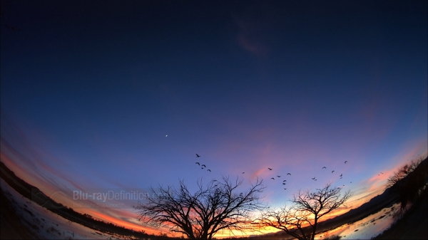 The Magic of Flight (IMAX) Blu-ray Review High-Resolution Screen ...