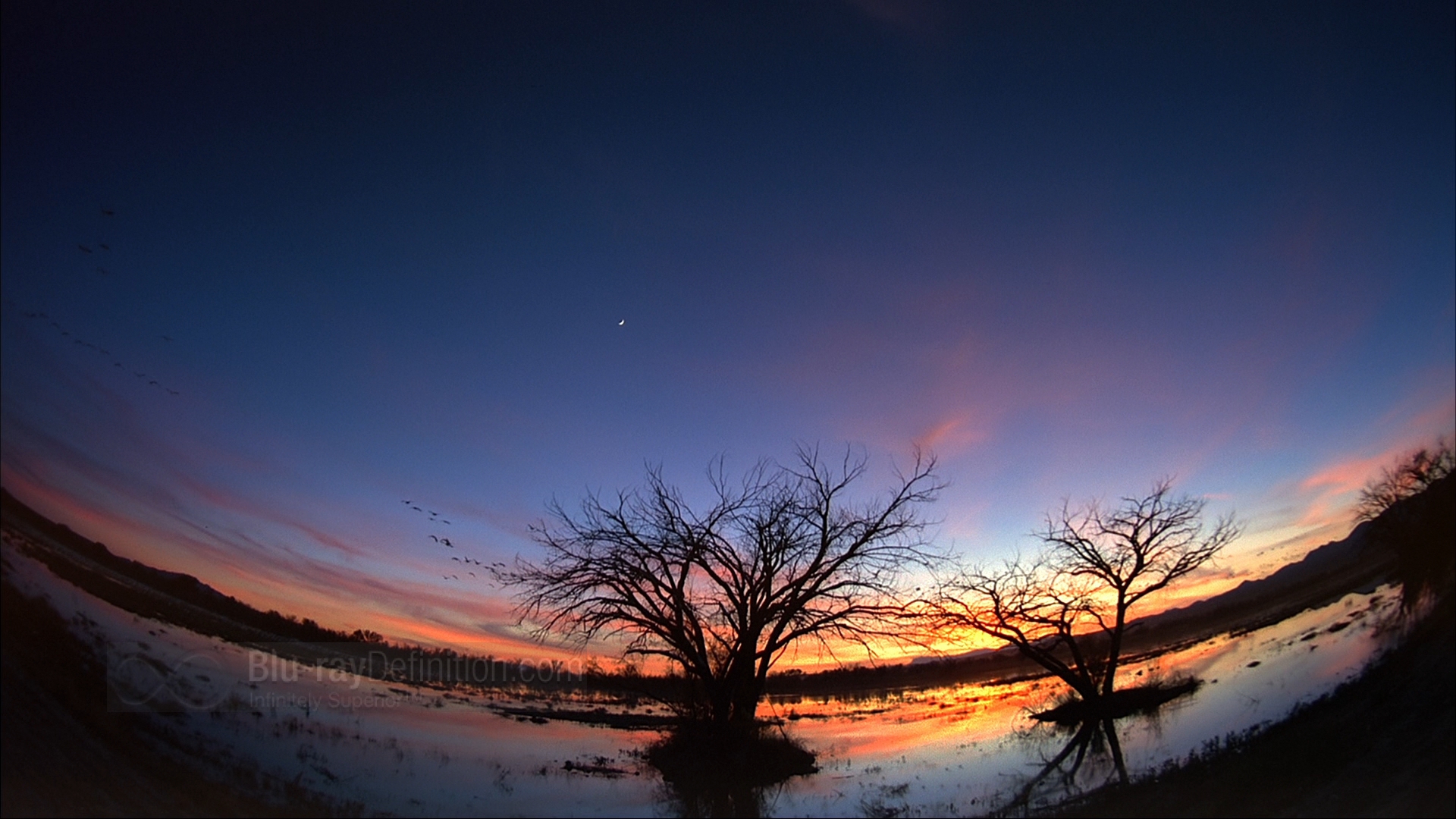 The Magic of Flight (IMAX) Blu-ray Review High-Resolution Screen ...