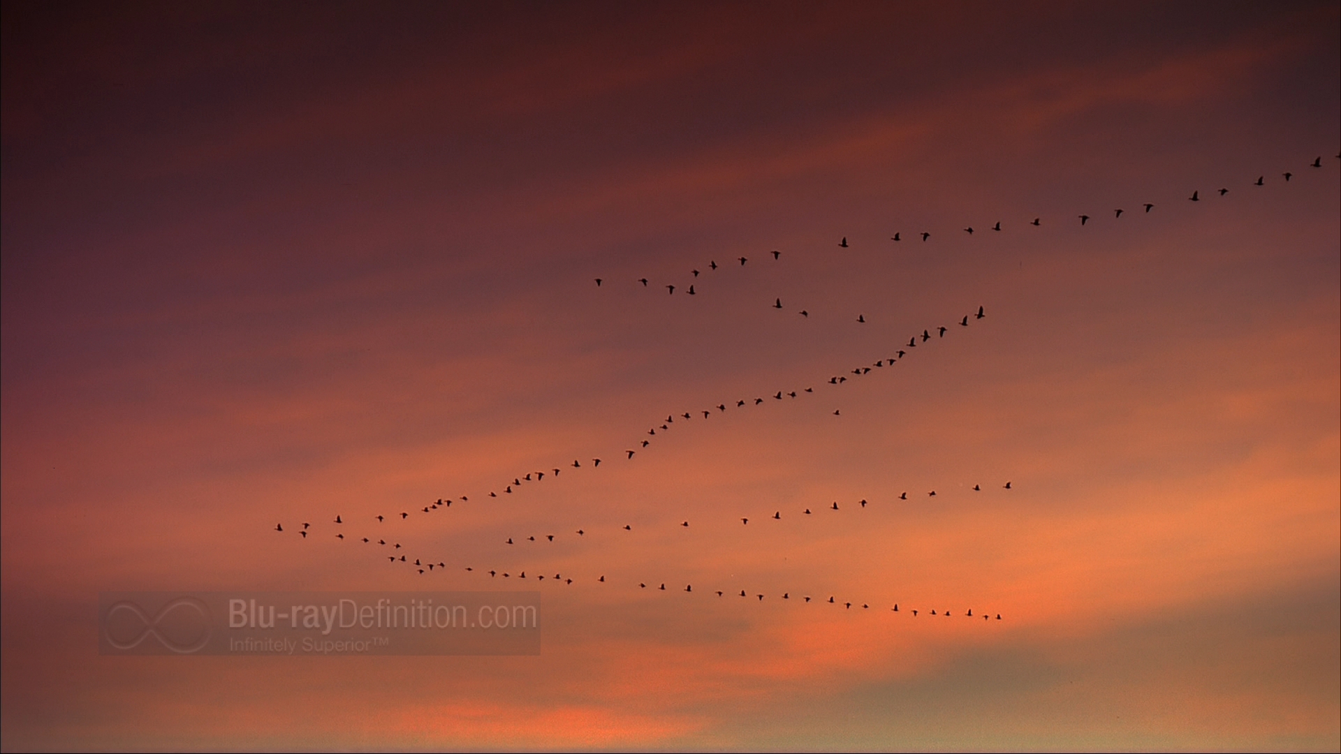The Magic of Flight (IMAX) Blu-ray Review High-Resolution Screen ...