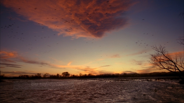 The Magic of Flight (IMAX) Blu-ray Review High-Resolution Screen ...