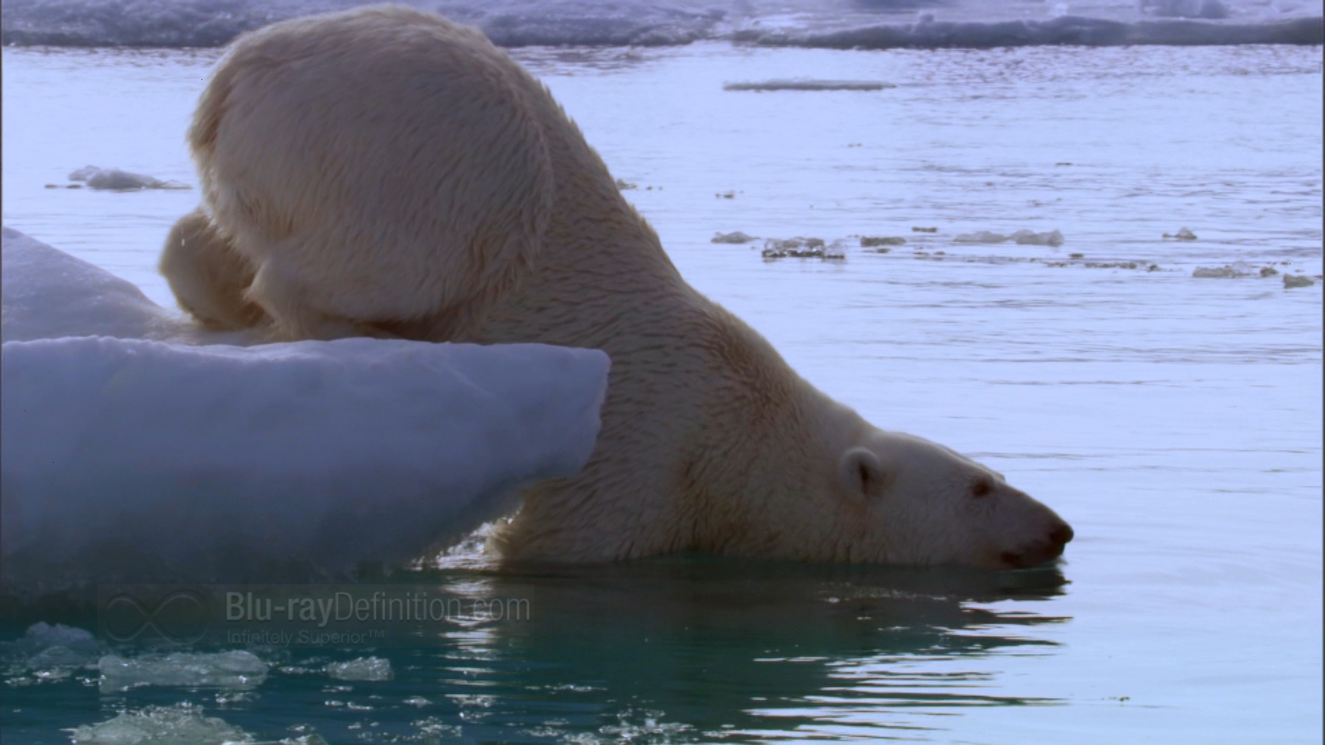 Nature's Most Amazing Events Blu-ray Review High-Resolution Screen ...