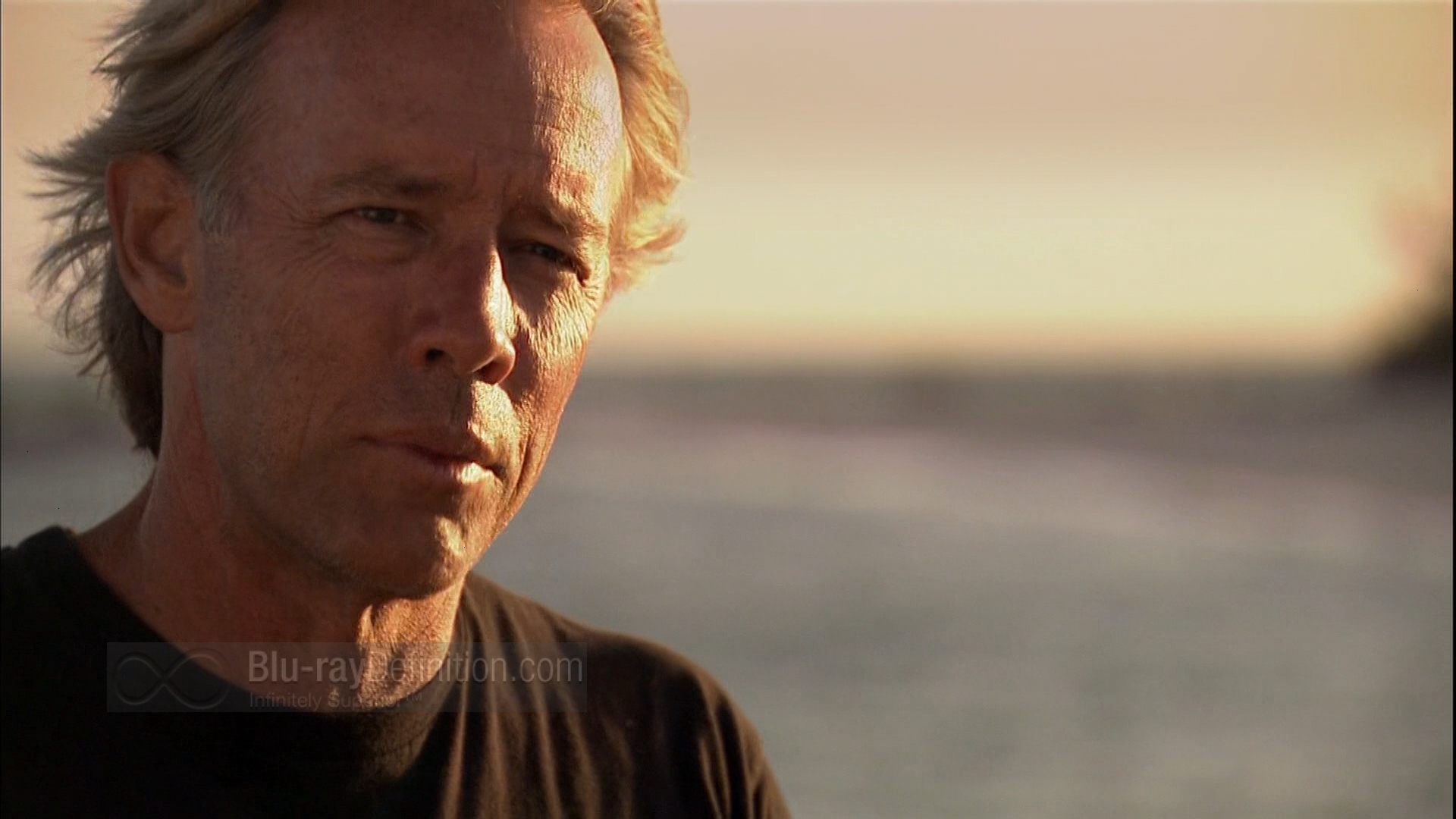 Shark Week: The Great Bites Collection Blu-ray Review High-Resolution ...