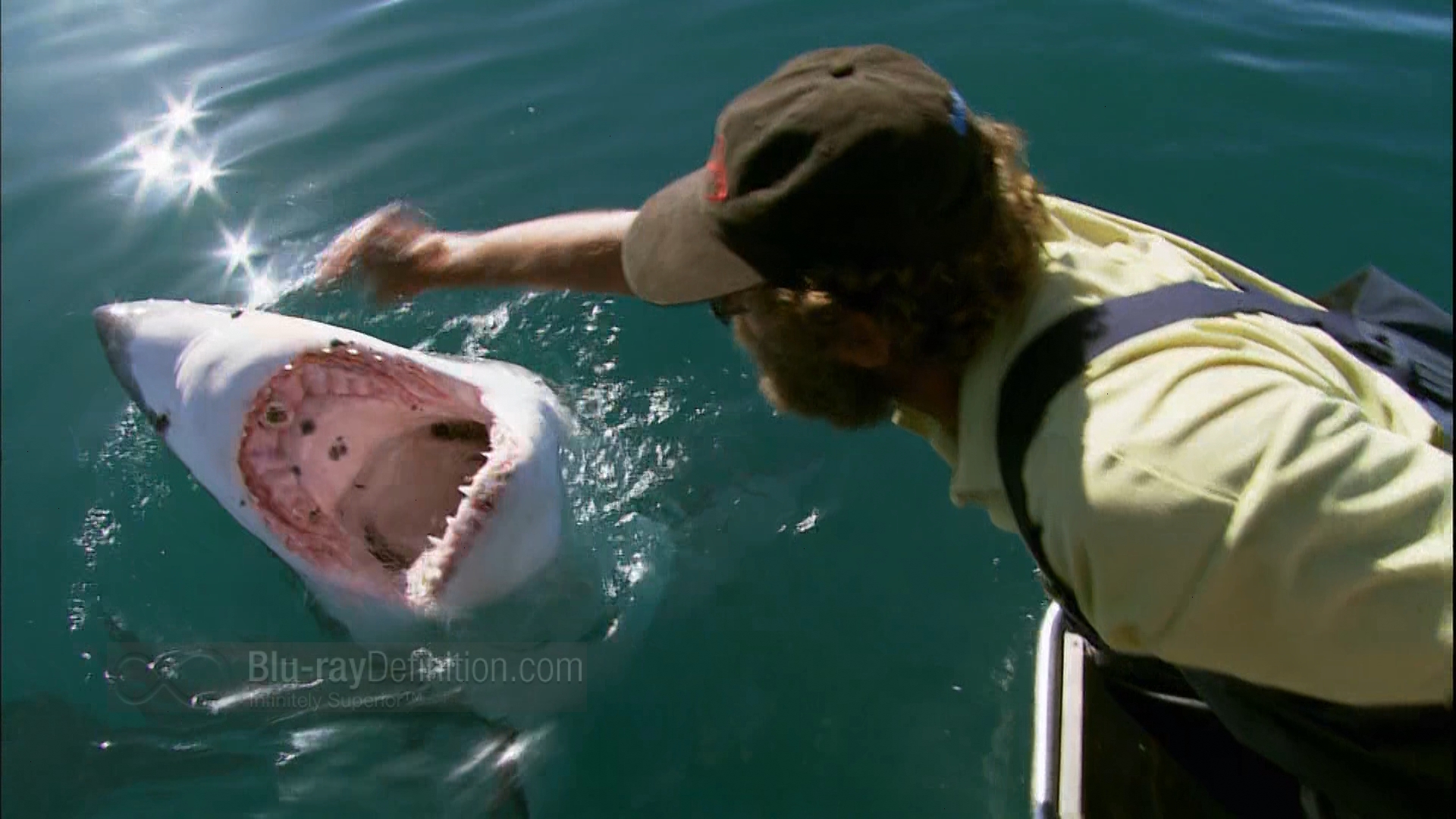 Shark Week: The Great Bites Collection Blu-ray Review High-Resolution ...