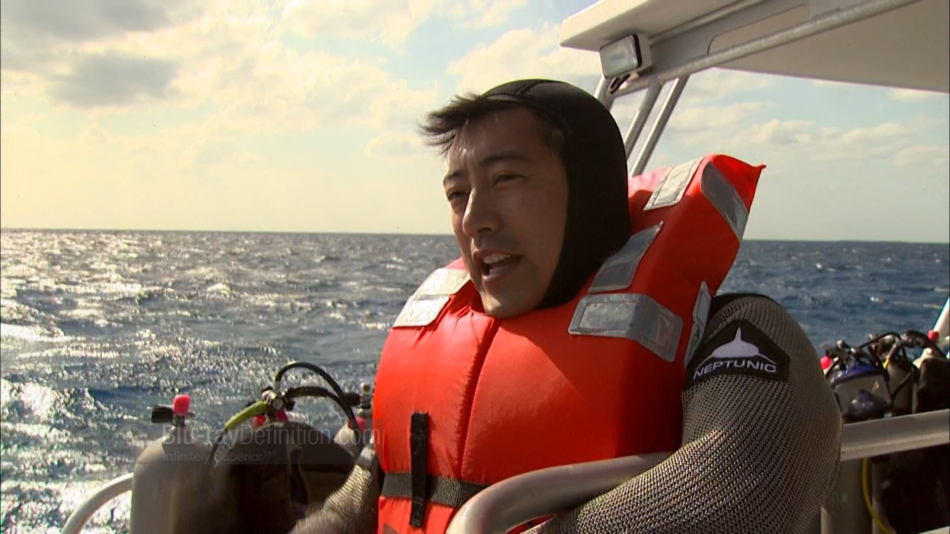 Shark Week: The Great Bites Collection Blu-ray Review High-Resolution ...