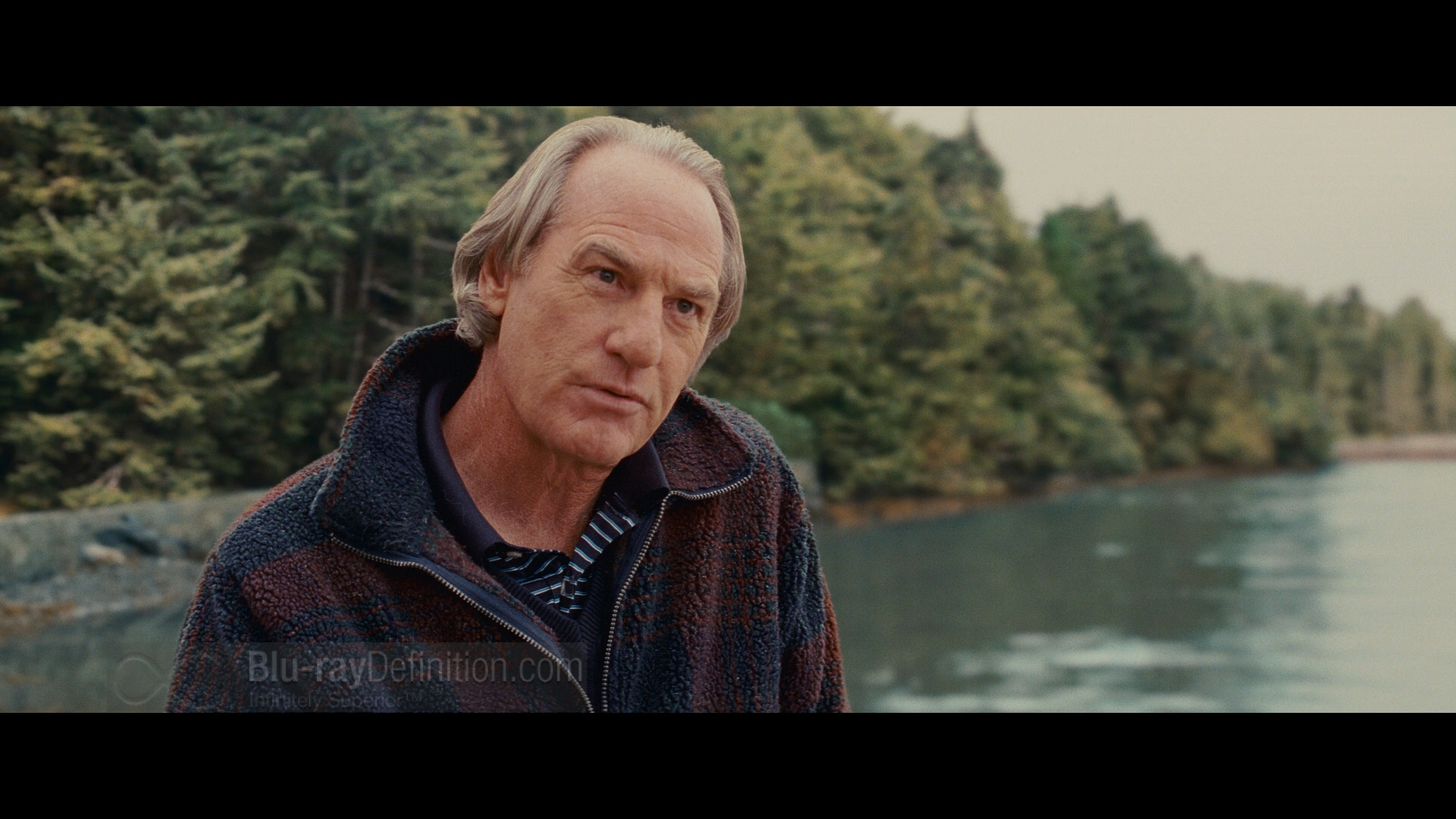 The Proposal Blu-ray Review High-Resolution Screen Captures | TheaterByte