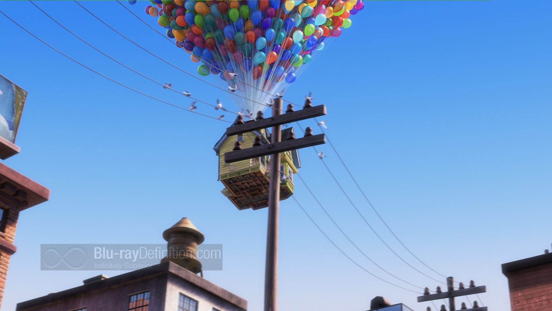 Up Blu-ray Review High-Resolution Screen Captures | TheaterByte