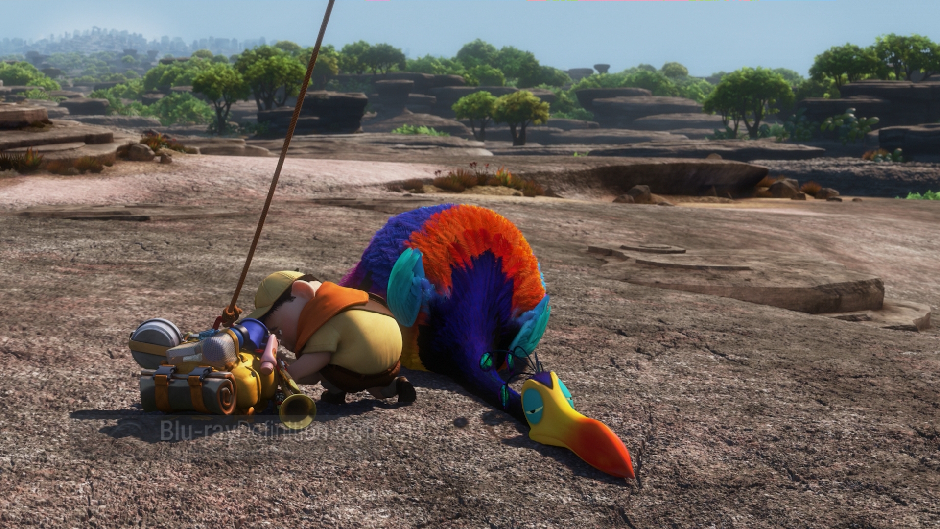 Up Blu-ray Review High-Resolution Screen Captures | TheaterByte