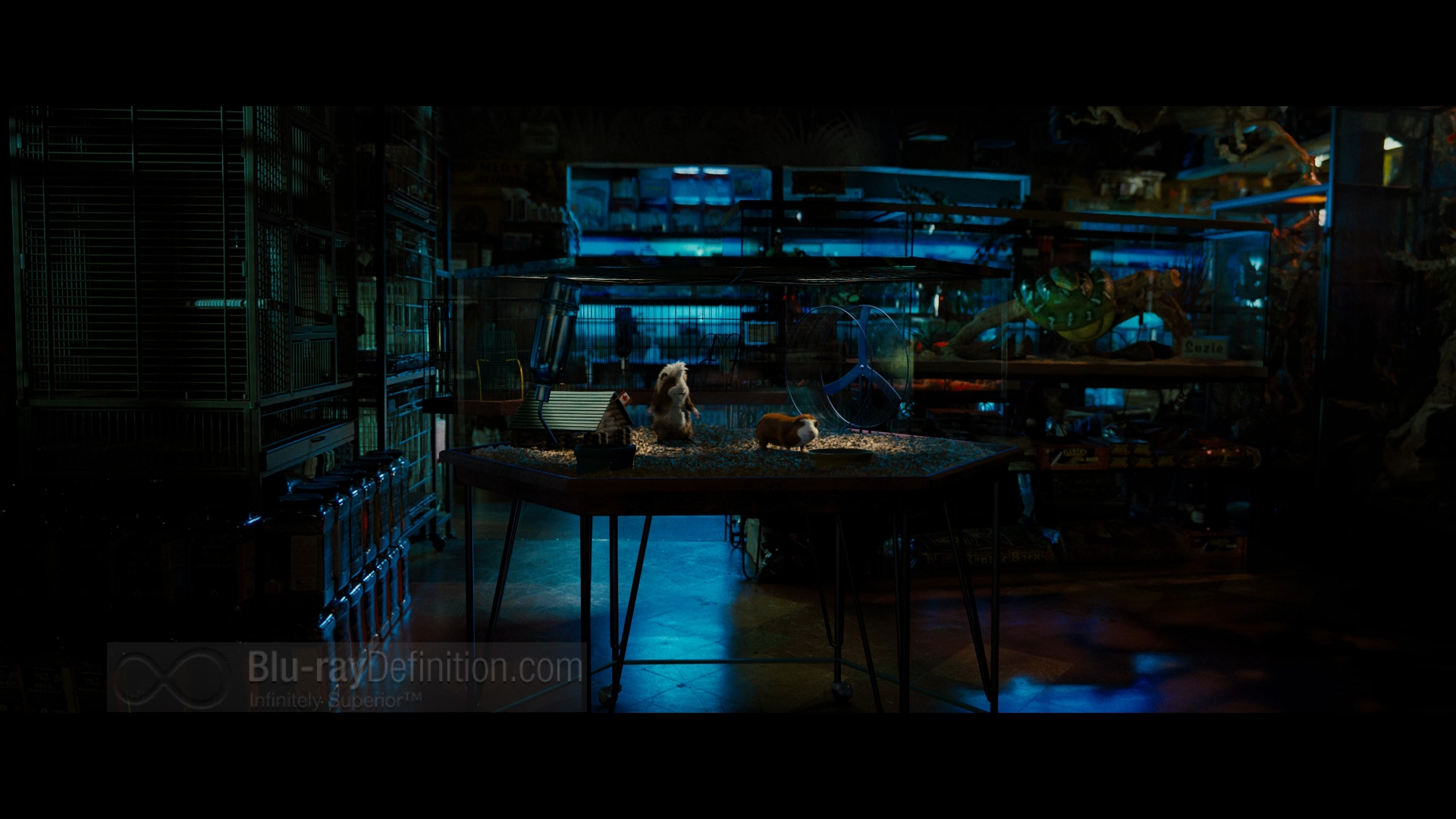 G-Force Blu-ray Review High-Resolution Screen Captures | TheaterByte