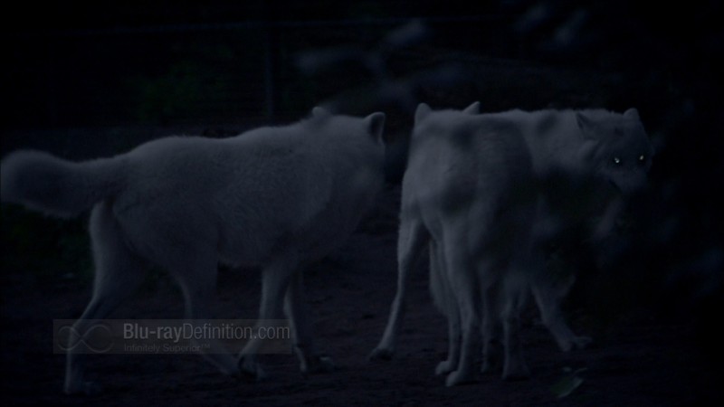 Knut & Friends Blu-ray Review High-Resolution Screen Captures | TheaterByte