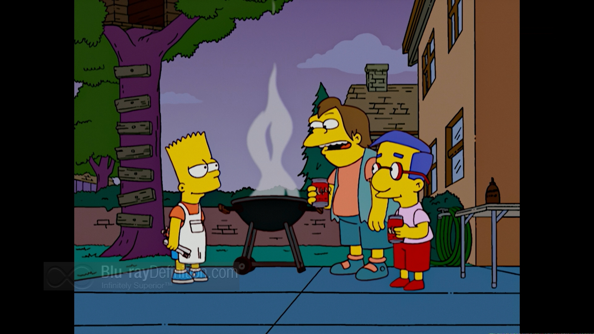 The Simpsons: The Complete Twentieth Season Blu-ray Review High ...
