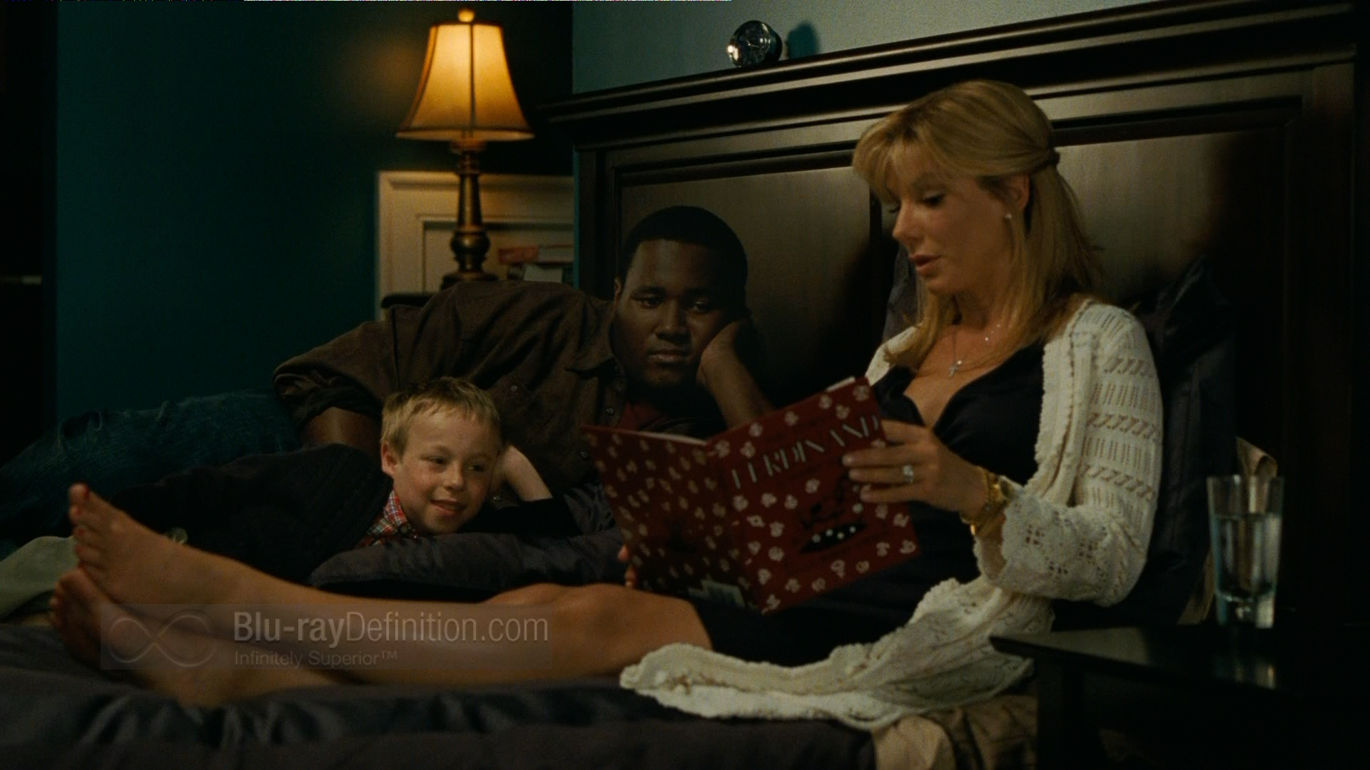 The Blind Side Blu-ray Review | TheaterByte