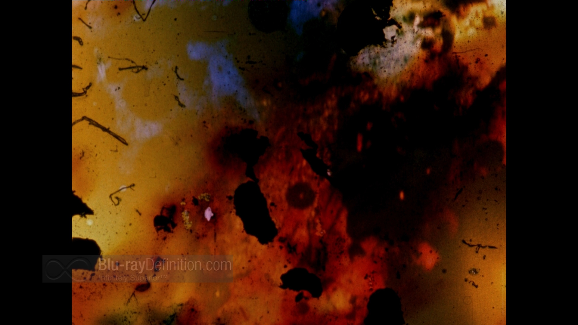 by Brakhage: An Anthology [Criterion Collection] Blu-ray Review ...