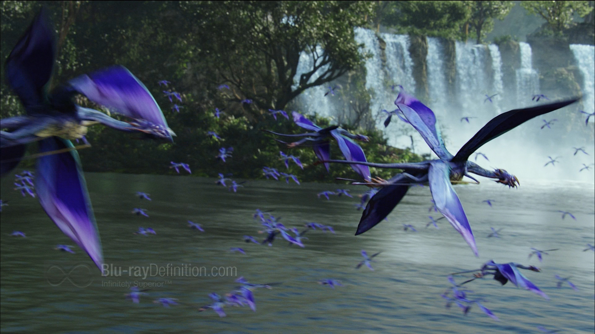 AVATAR: Extended Blu-ray Collector's Edition Review | TheaterByte