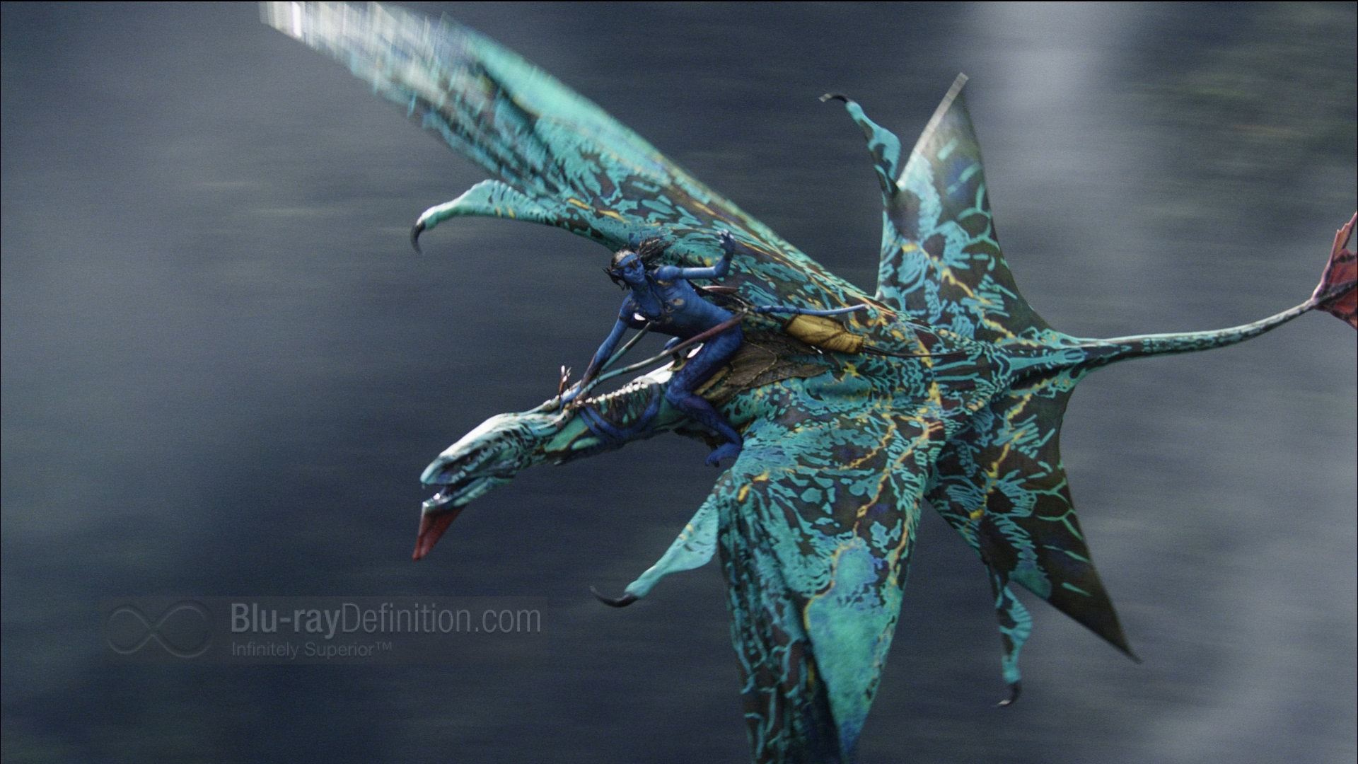 AVATAR: Extended Blu-ray Collector's Edition Review | TheaterByte