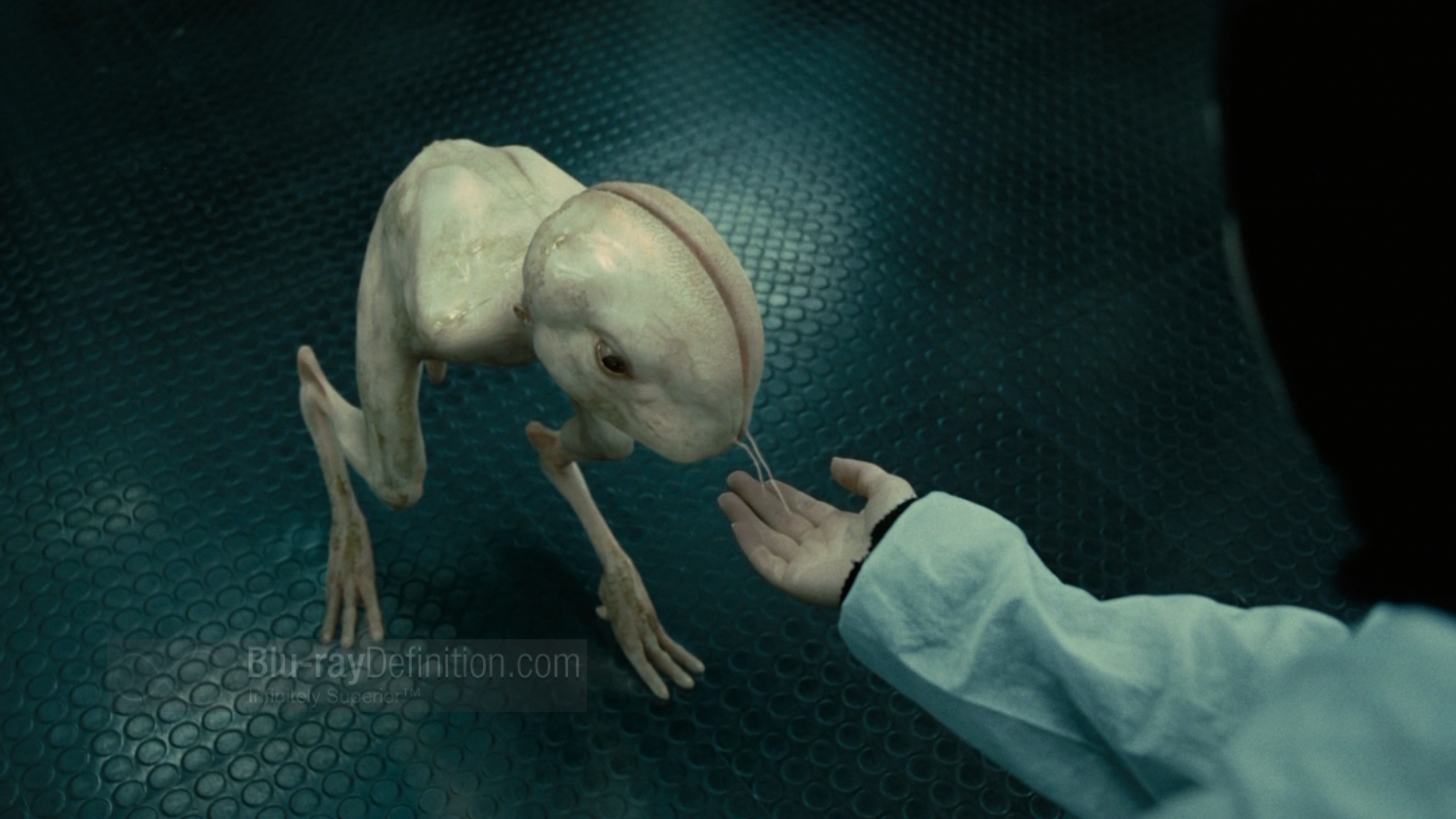 Splice Blu-ray Review | TheaterByte