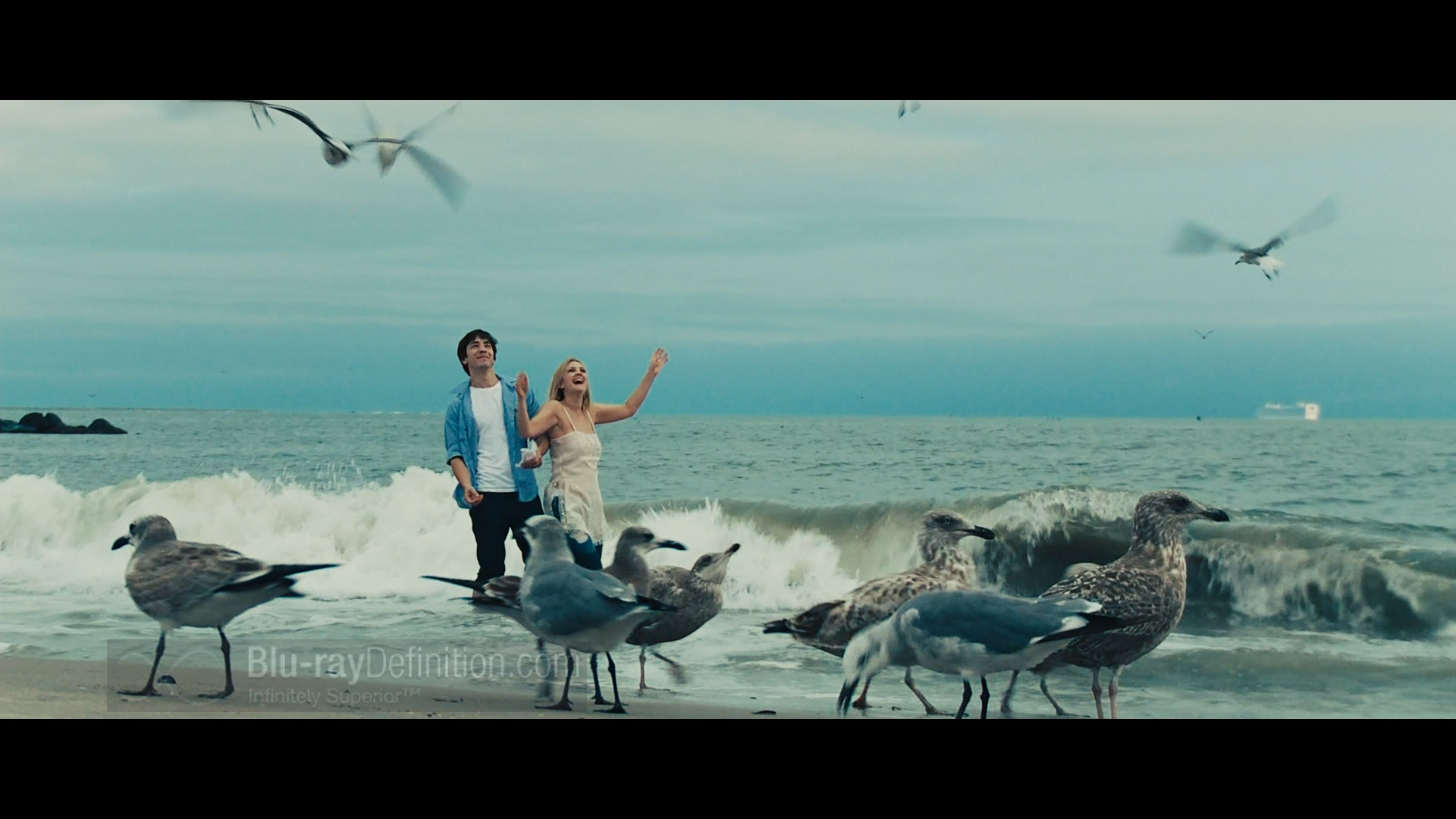 Going the Distance (2010) Blu-ray Review | TheaterByte