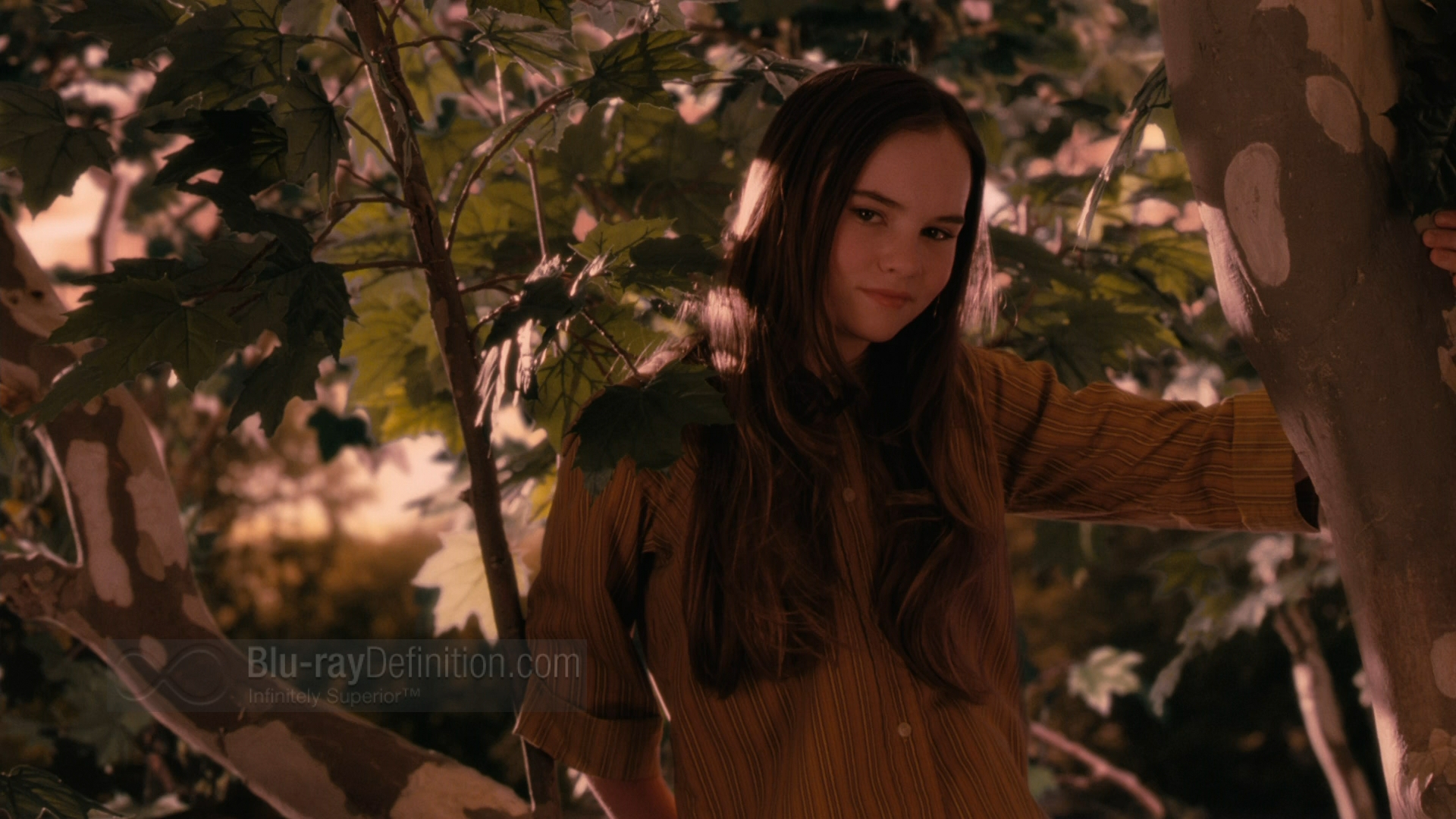 Flipped Blu-ray Review | TheaterByte