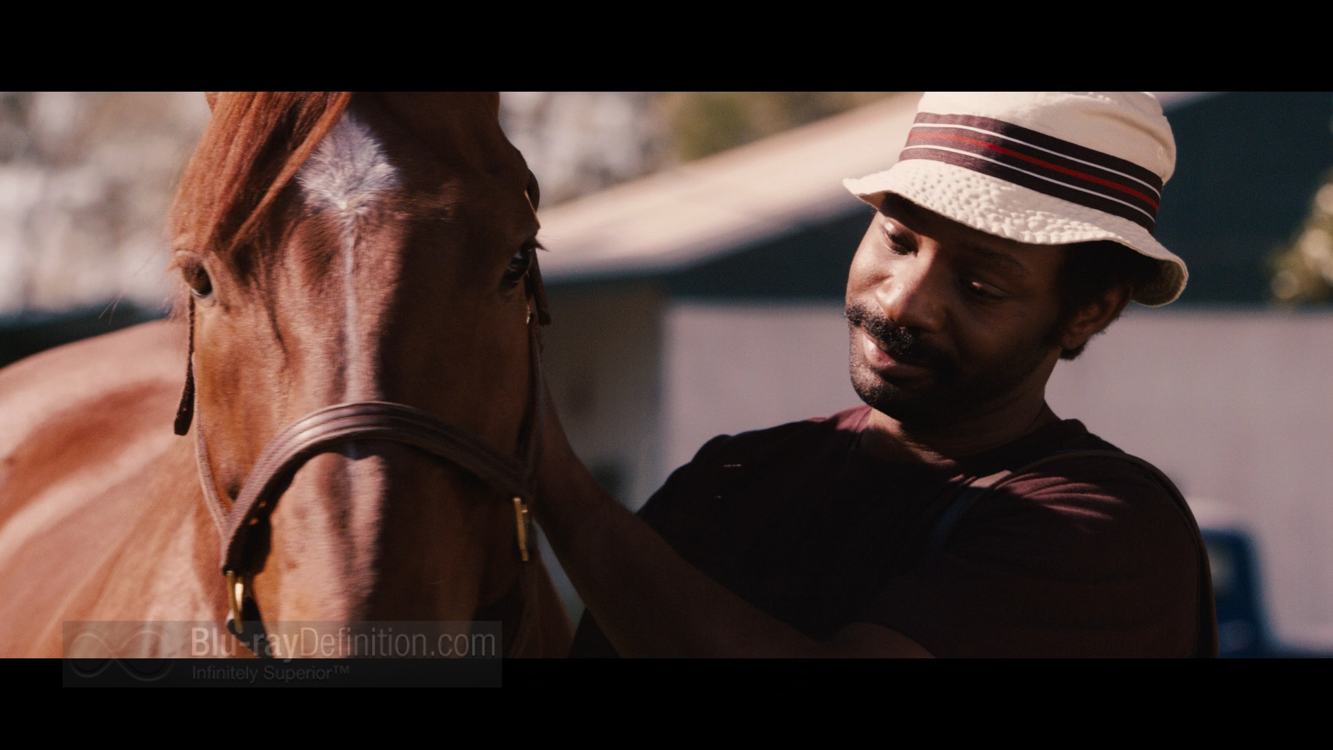 Secretariat Blu-ray Review | TheaterByte