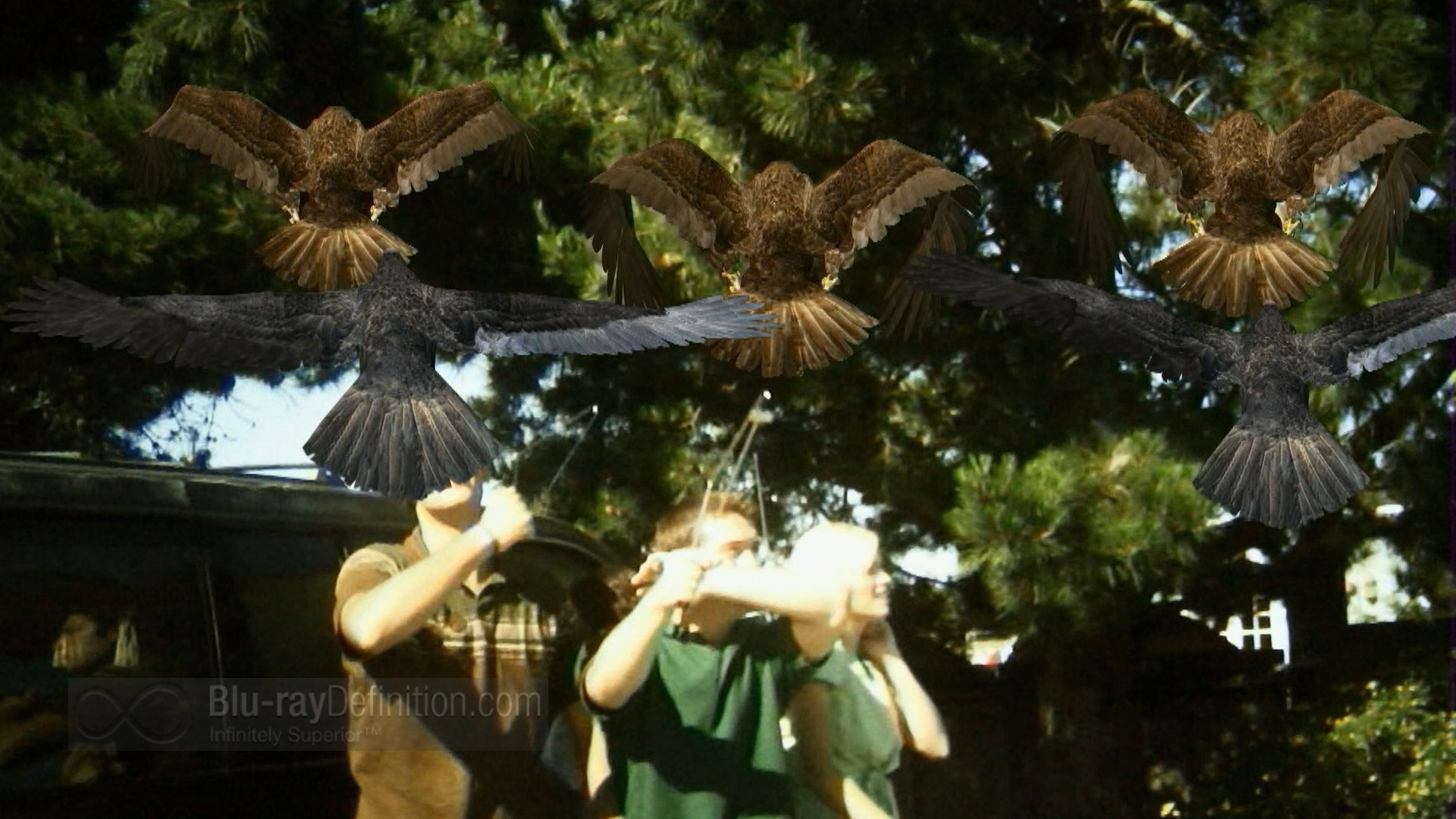 Birdemic: Shock and Terror Blu-ray Review | TheaterByte