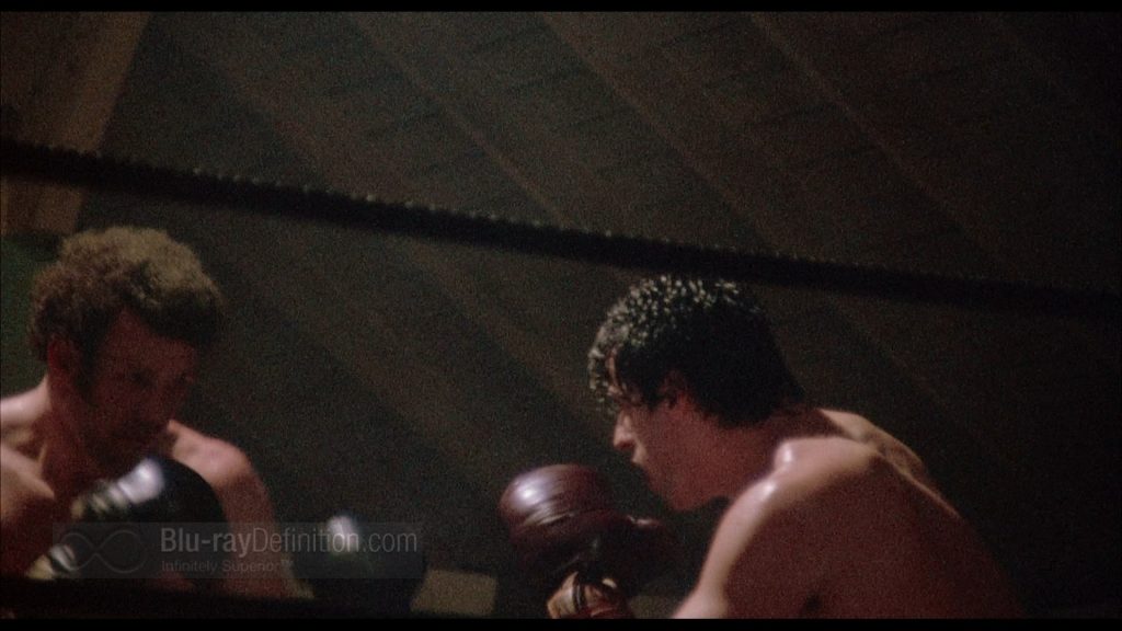 Rocky: Limited Edition Blu-ray Book Review | TheaterByte