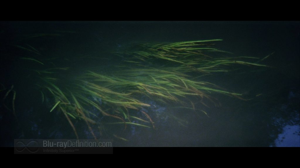 Solaris [Criterion Collection] Blu-ray Review | TheaterByte