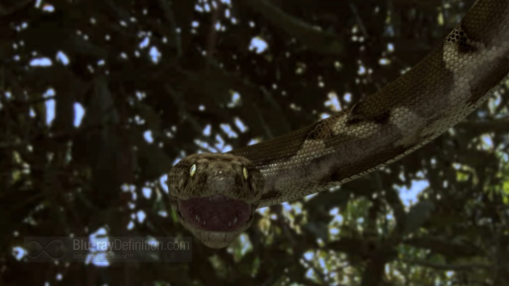Mega Python Vs. Gatoroid Blu-ray Review | TheaterByte