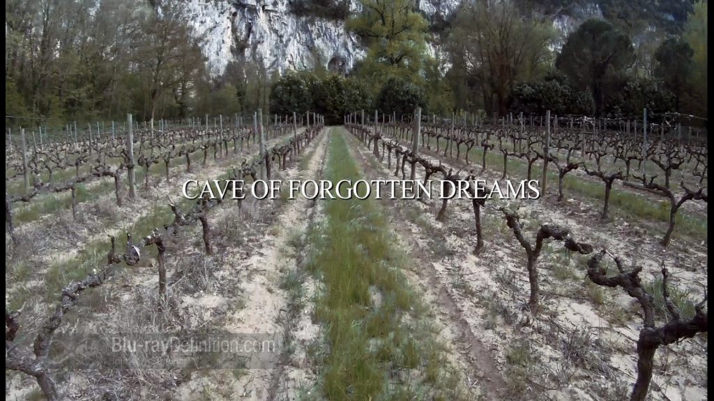 Cave of Forgotten Dreams Blu-ray 3D Review | TheaterByte