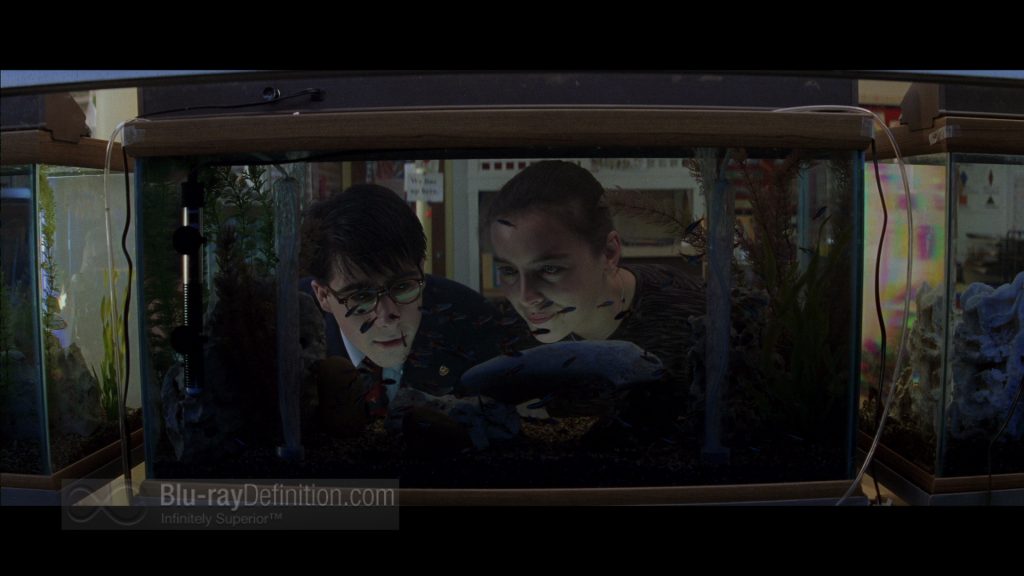 Rushmore [Criterion Collection] Blu-ray Review | TheaterByte