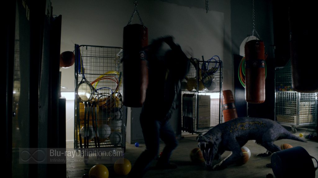 Primeval: Volume Three Blu-ray Review | TheaterByte