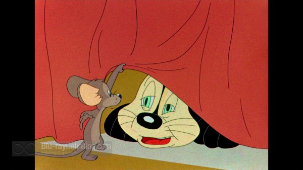 Looney Tunes: The Chuck Jones Collection -- Mouse Chronicles Blu-ray ...