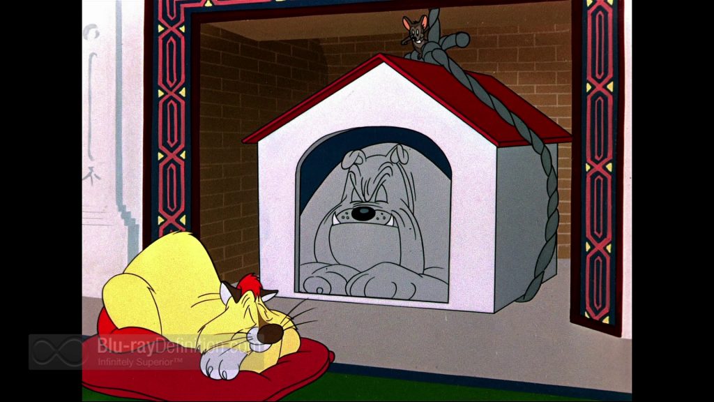 Looney Tunes: The Chuck Jones Collection -- Mouse Chronicles Blu-ray ...