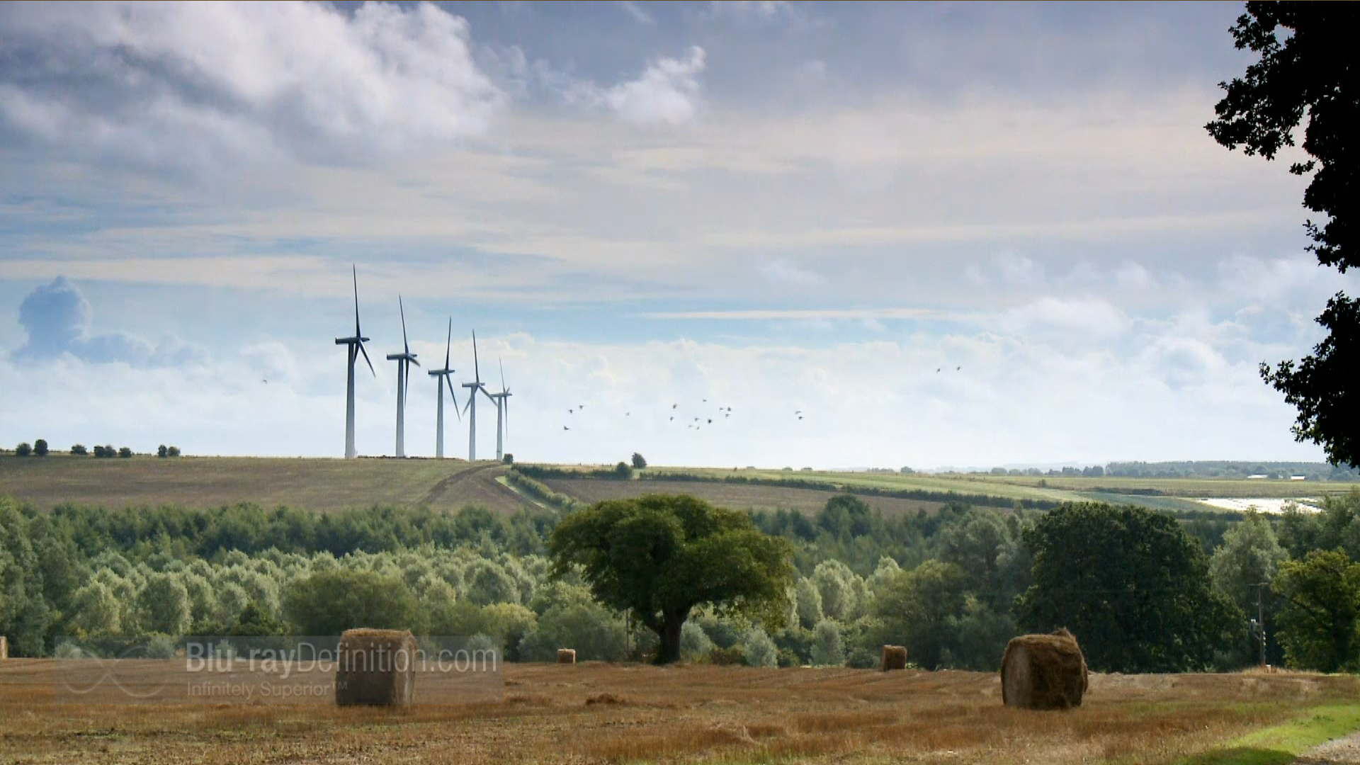 Produced by George Martin Blu-ray Review | TheaterByte