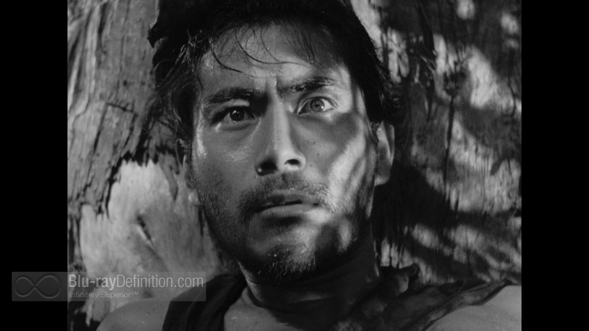 Rashomon [Criterion Collection] Blu-ray Review | TheaterByte