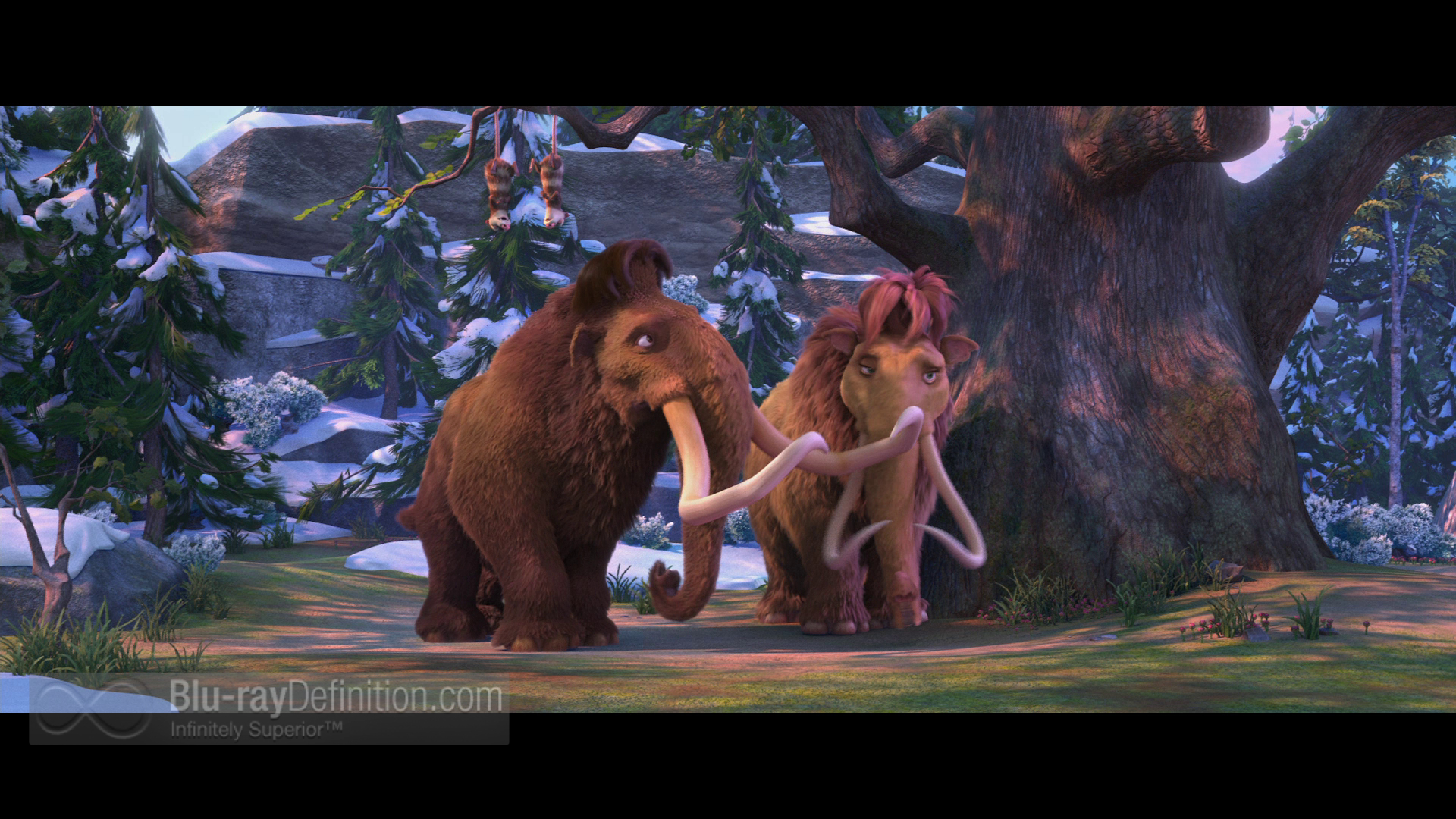 Ice Age: Continental Drift Blu-ray Review | TheaterByte