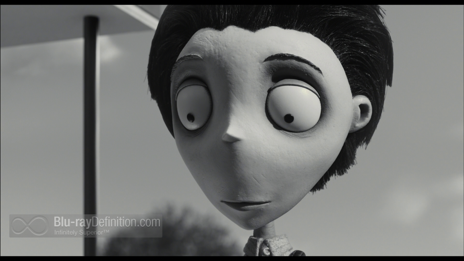 Frankenweenie Blu Ray 3d Review Theaterbyte