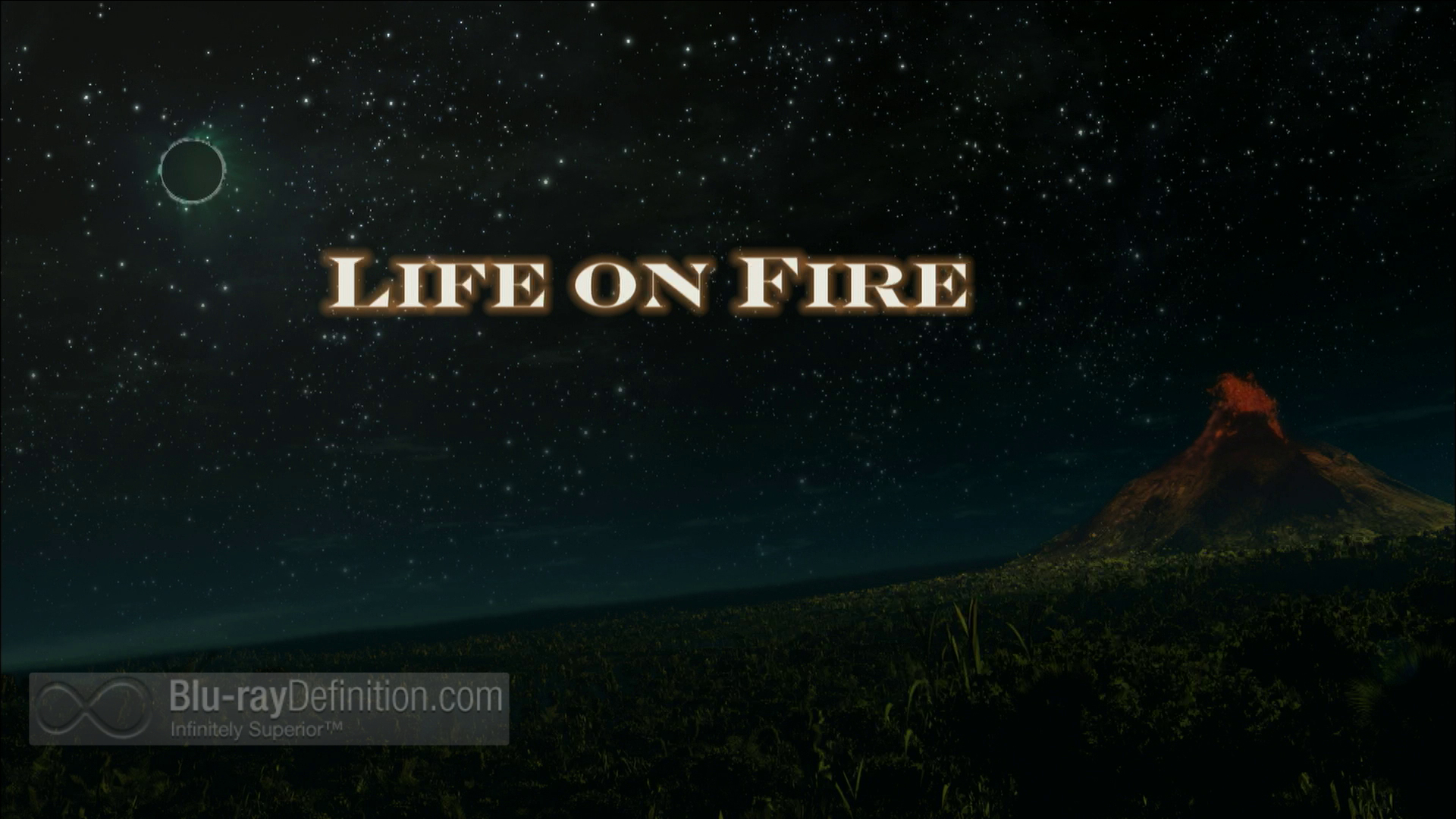 Life on Fire: Wildlife on the Volcano's Edge Blu-ray Review | TheaterByte