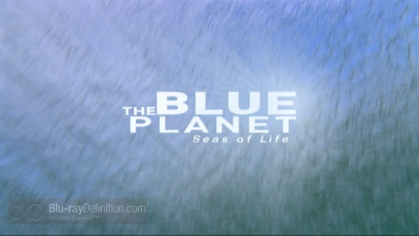 The Blue Planet: Seas of Life Blu-ray Review | TheaterByte