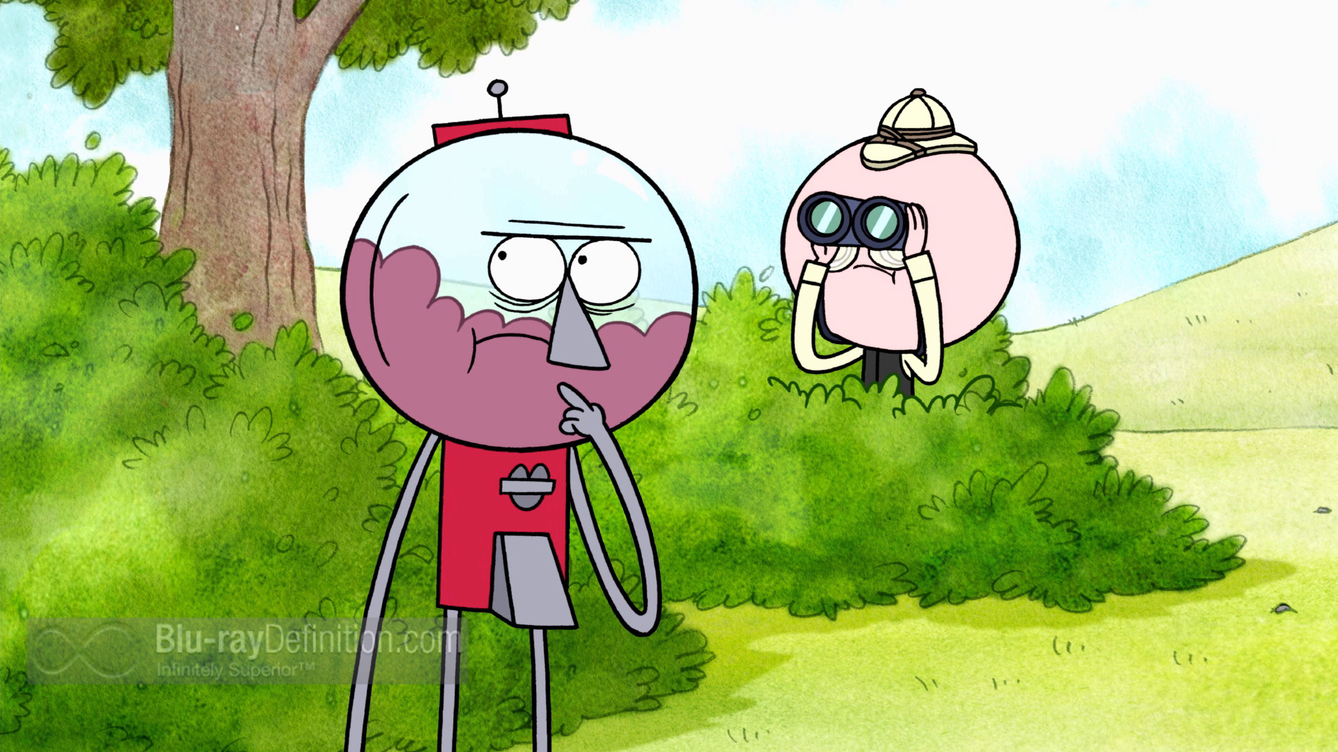 Regular Show: The Complete First & Second Seasons Blu-ray Review ...