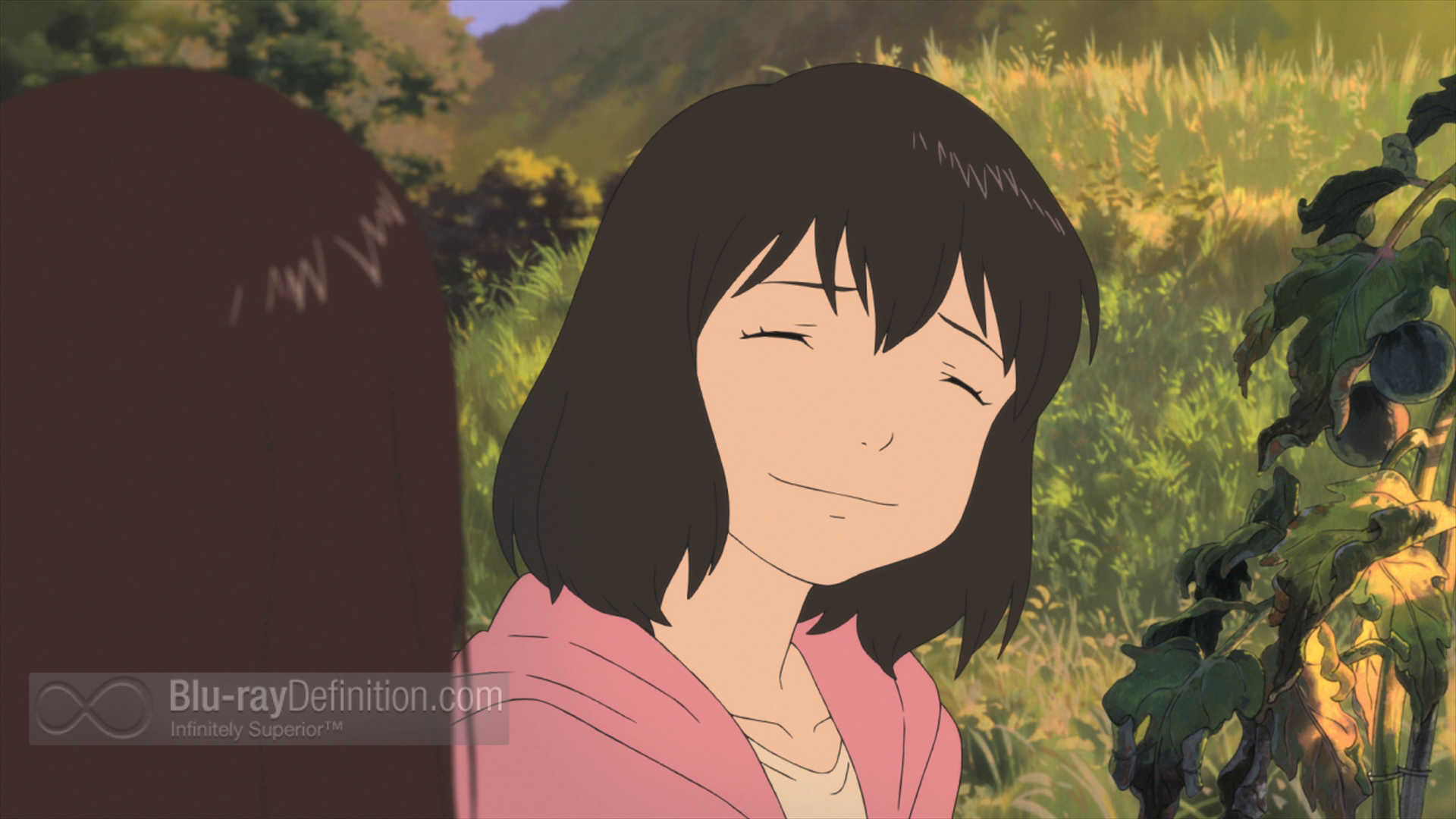 Wolf Children Blu-ray Review | TheaterByte