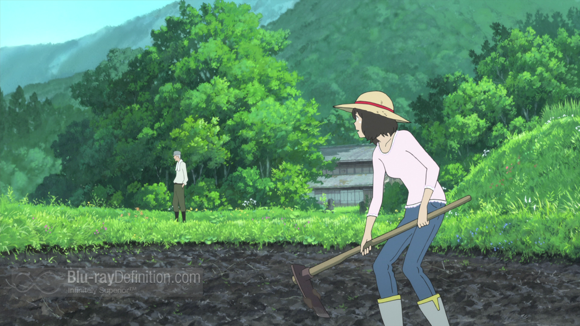 Wolf Children Blu-ray Review | TheaterByte