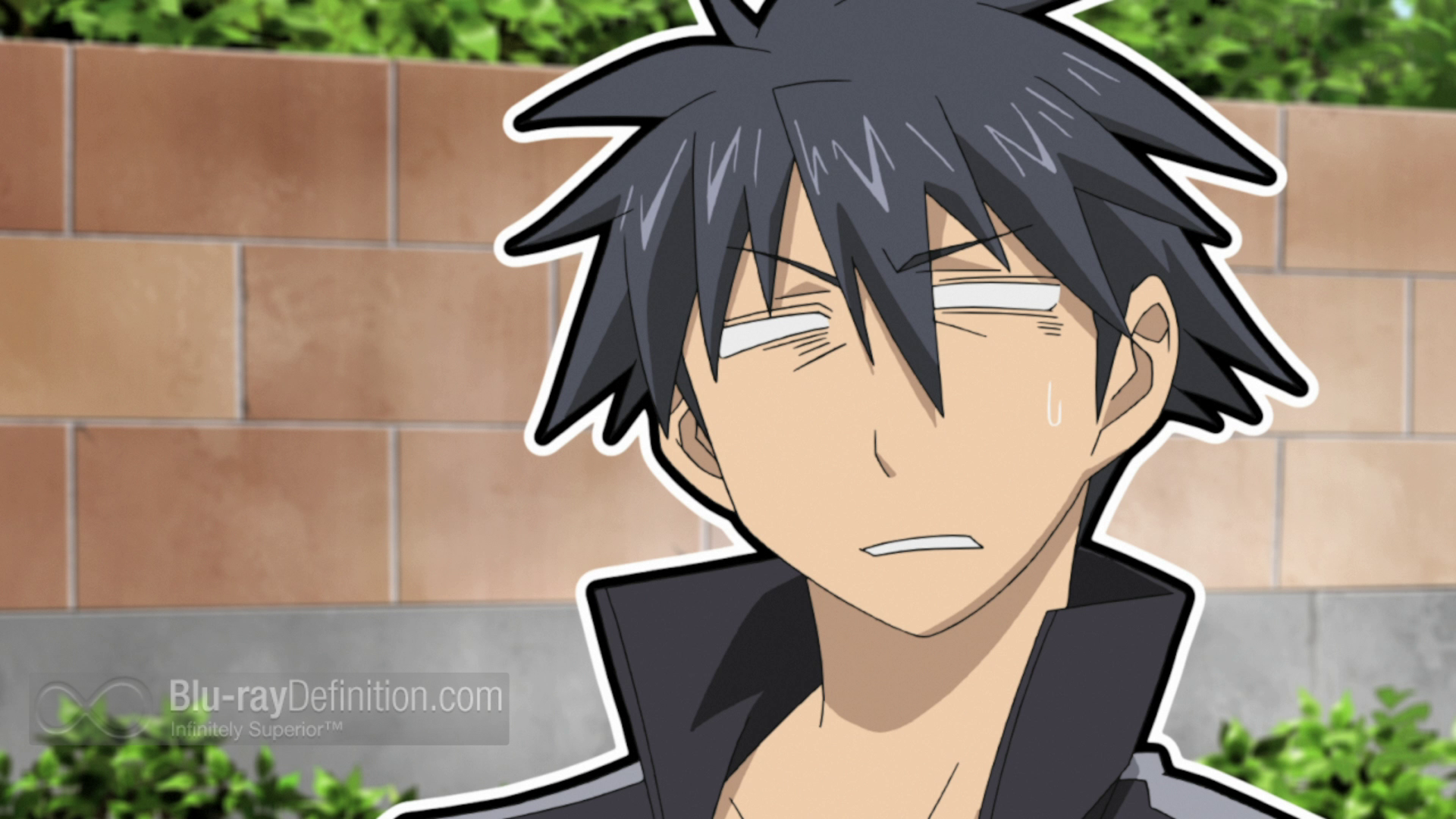 Nyan Koi!: Complete Collection Blu-ray Review | TheaterByte