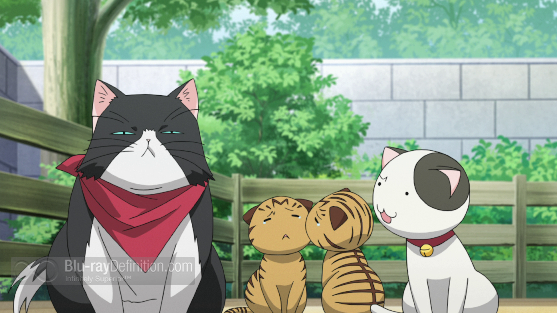 Nyan Koi!: Complete Collection Blu-ray Review | TheaterByte