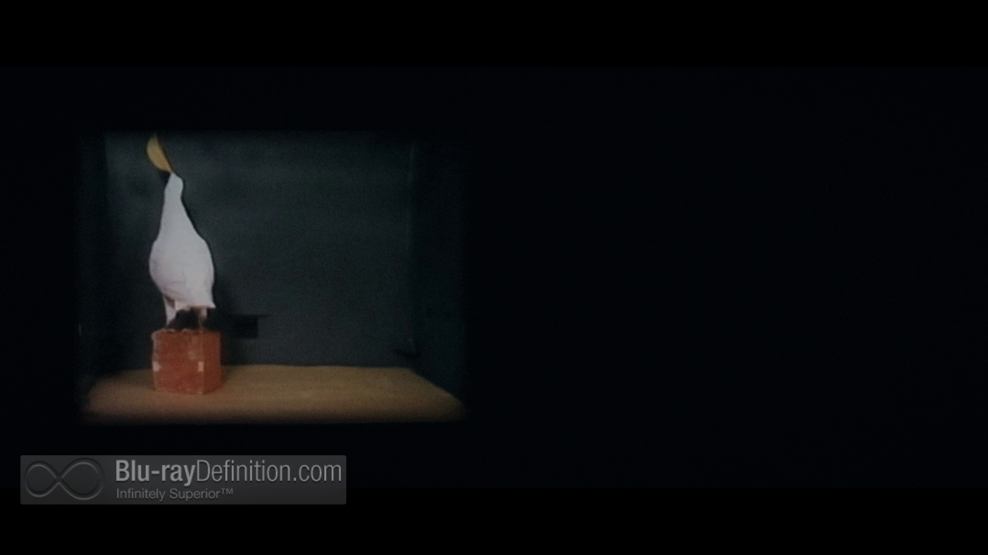 Mr. Nobody Blu-ray Review | TheaterByte