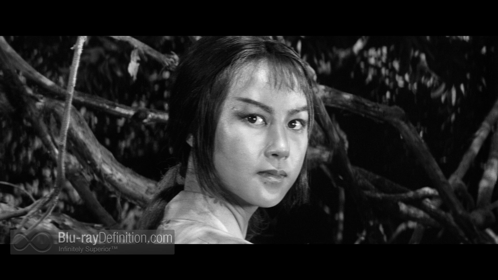 The Hidden Fortress (1958) [Criterion Collection] Blu-ray Review ...