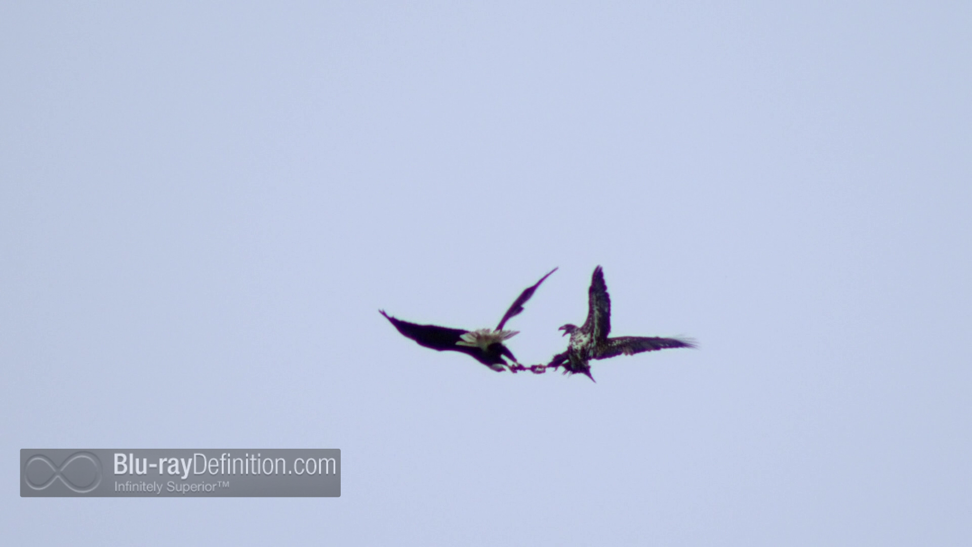 Earthflight: The Complete Series Blu-ray Review | TheaterByte