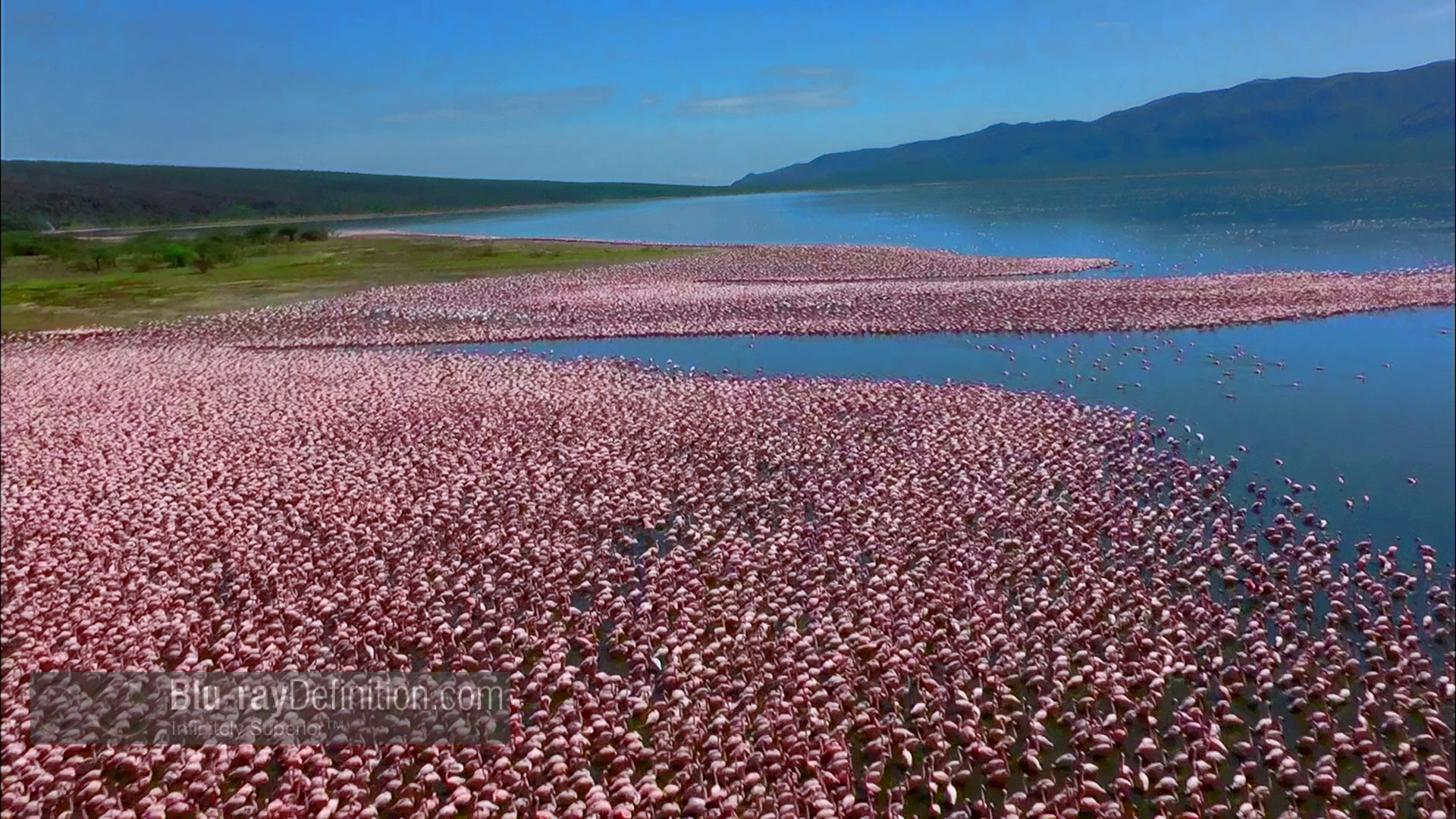 Earthflight: The Complete Series Blu-ray Review | TheaterByte