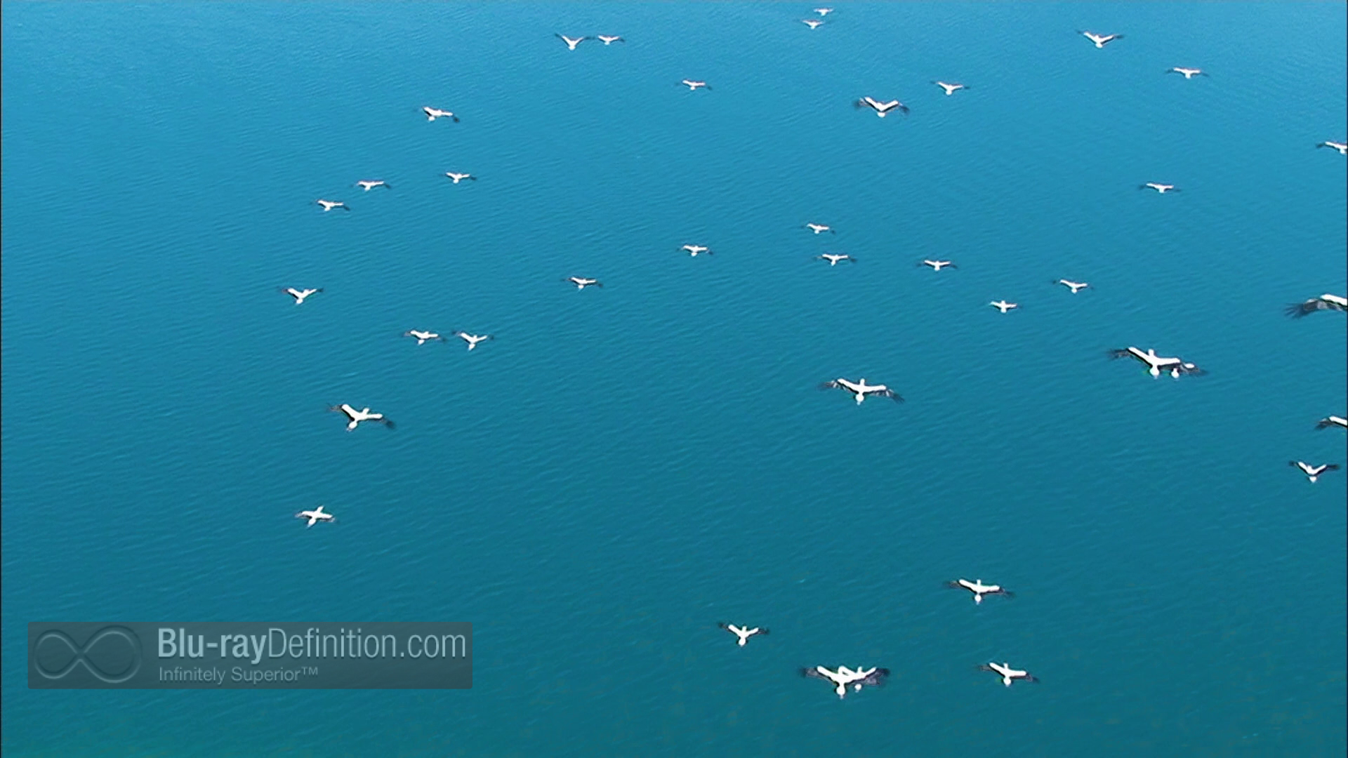 Earthflight: The Complete Series Blu-ray Review | TheaterByte