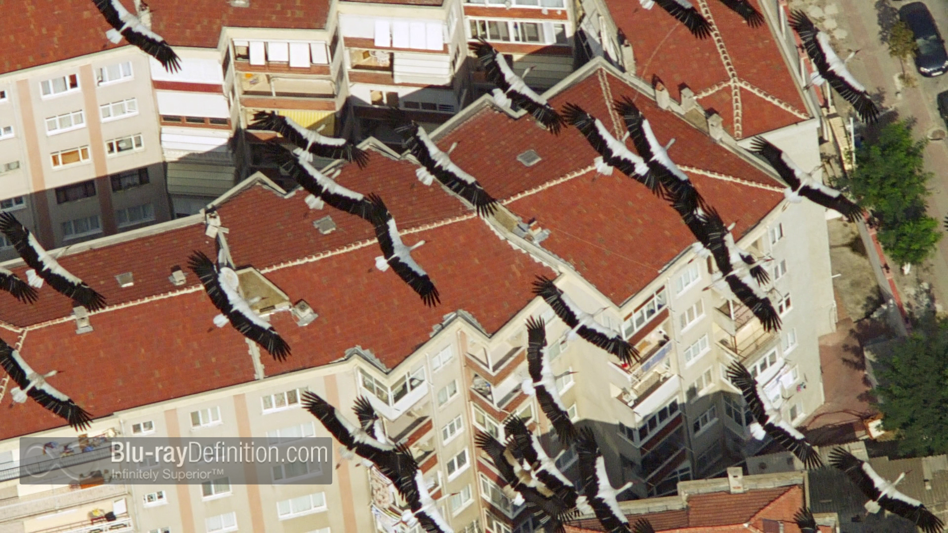 Earthflight: The Complete Series Blu-ray Review | TheaterByte