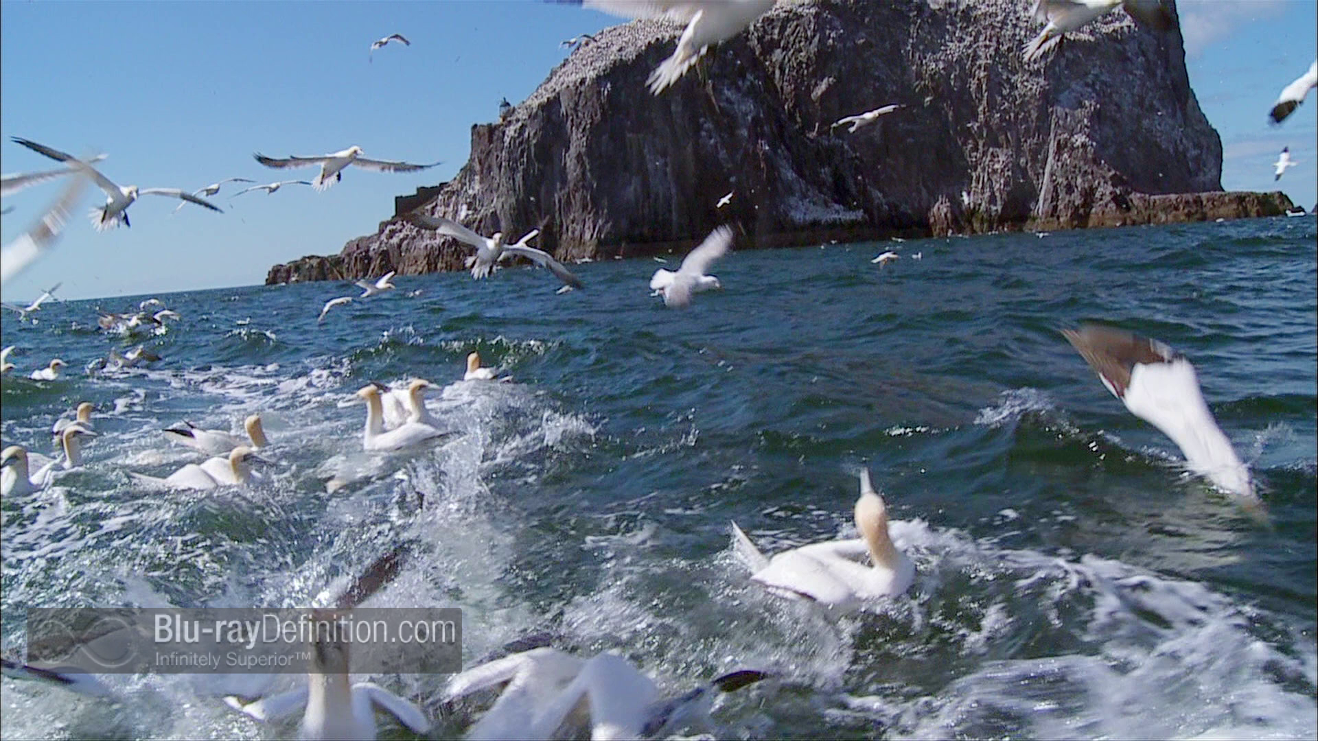 Earthflight: The Complete Series Blu-ray Review | TheaterByte